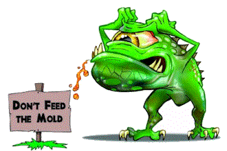 Mold and Human Health | Broome County